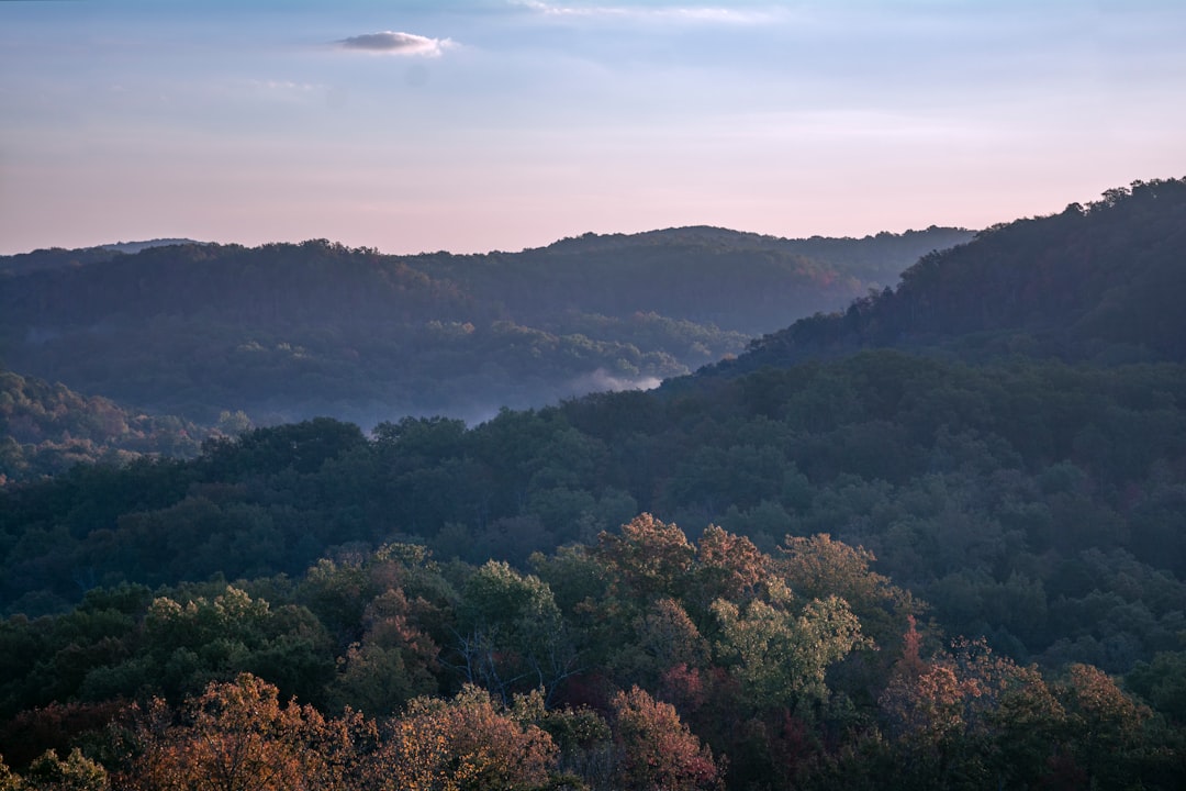 Bourbon Drive-in in Paris, Kentucky | Drive-in List